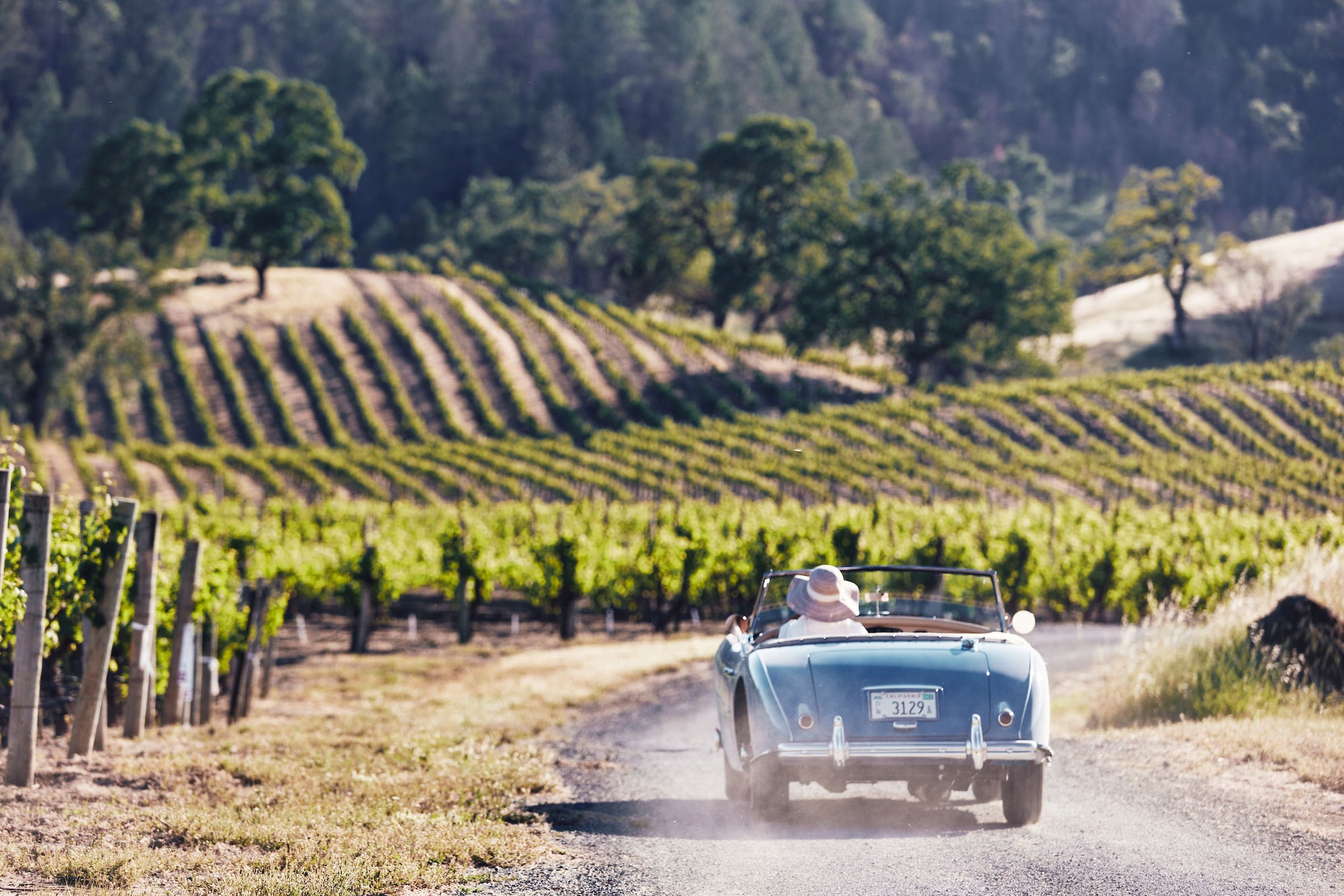 Ehret Winery | Premium Bordeaux Varietals from Knights Valley, Sonoma
